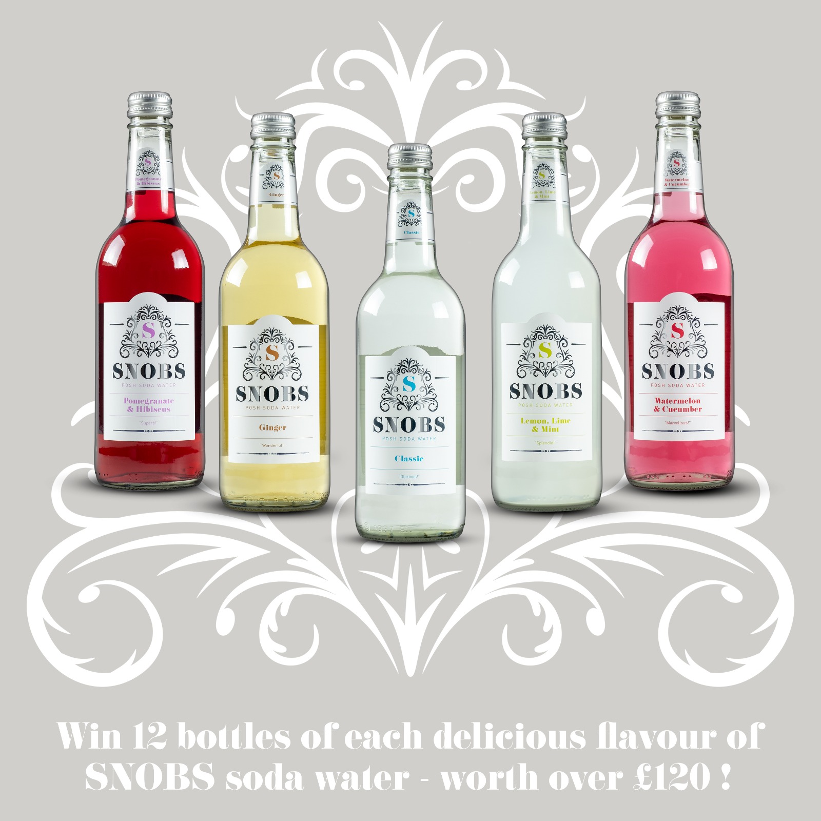 WIN! 12 bottles of each delicious flavour of SNOBS soda water - worth ...